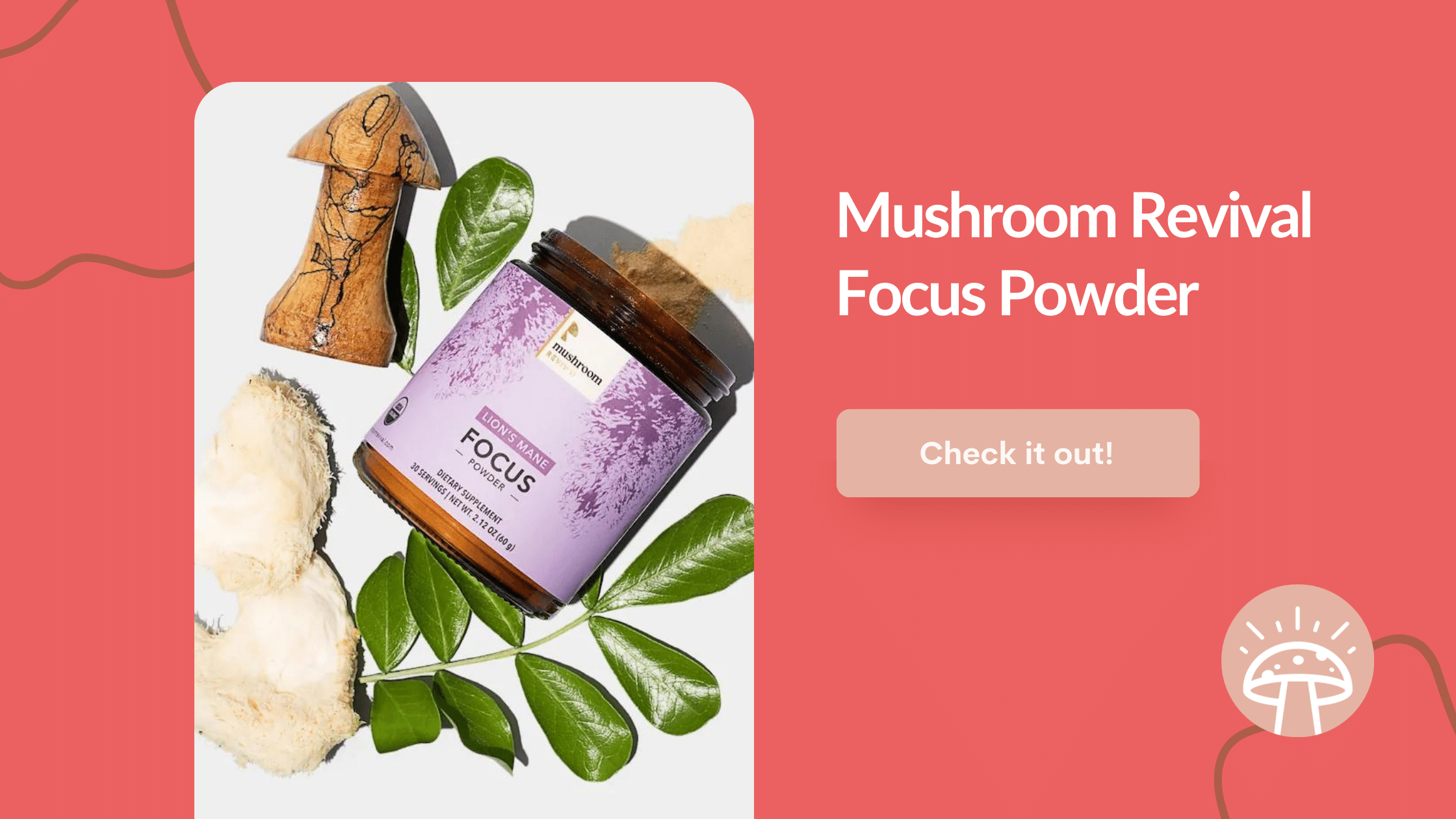 How to Give Lion's Mane Mushrooms to Your Dog (Dosage & Benefits Guide)